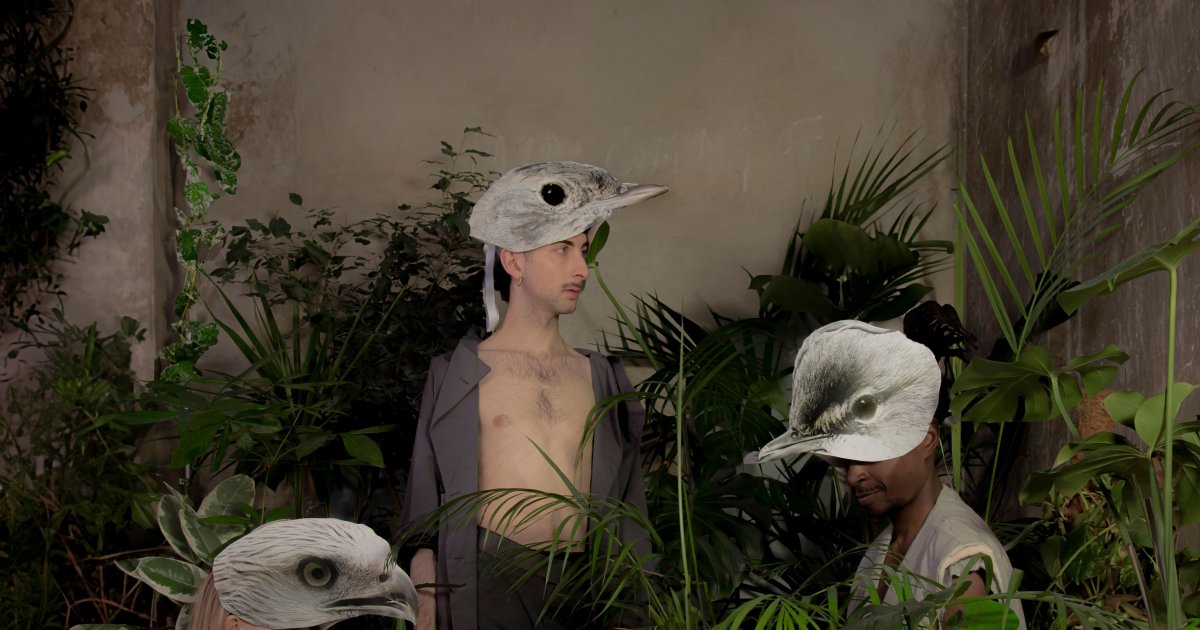 Kareth Schaffer // Construction Company: Bird Dances – Sophiensæle ...